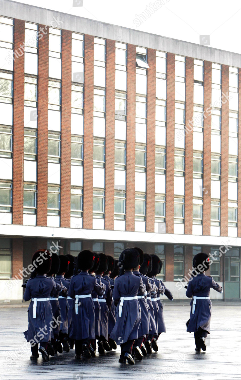 Number Seven Company Coldstream Guards Hold Editorial Stock Photo ...