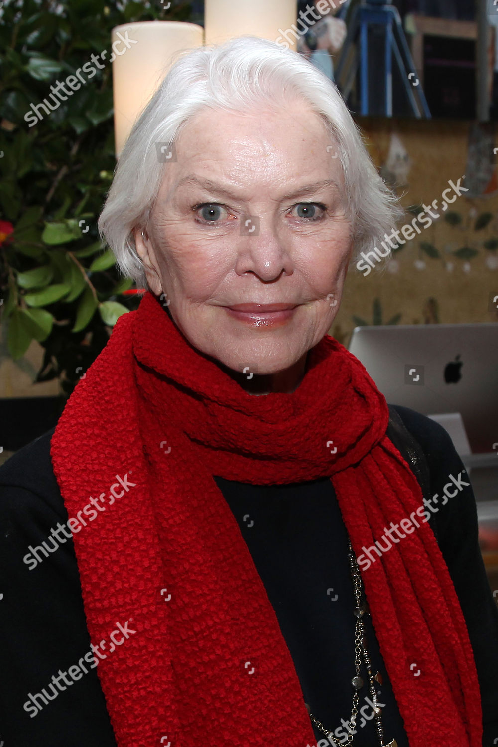 Ellen Burstyn Editorial Stock Photo - Stock Image | Shutterstock
