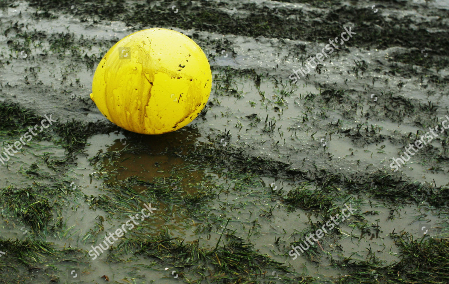 Balloon Stuck Mud Editorial Stock Photo - Stock Image | Shutterstock