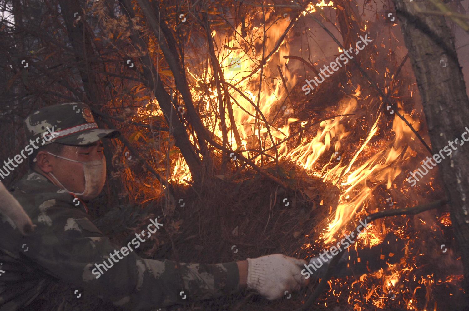 Firemen Put Off Fire On Forest Editorial Stock Photo - Stock Image ...