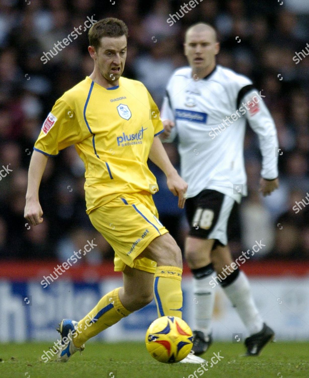 Steve Maclean Sheffield Wednesday Editorial Stock Photo - Stock Image ...