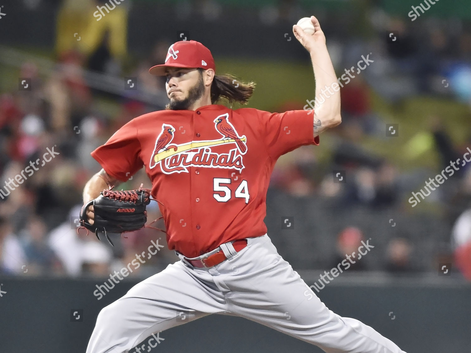 St Louis Cardinals Pitcher Zach Phillips Editorial Stock Photo - Stock ...