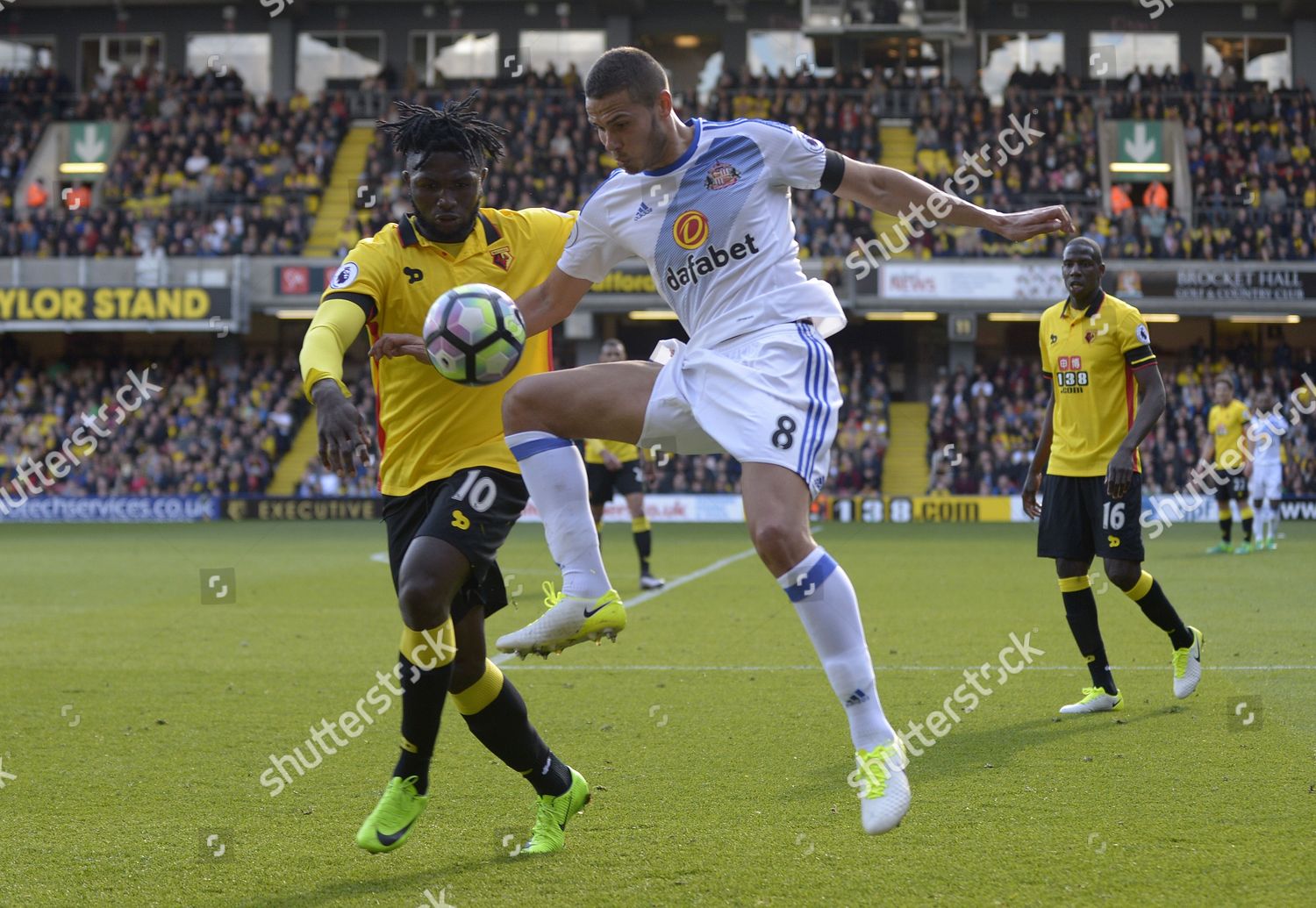 Jack Rodwell Sunderland Isaac Success Watford Editorial Stock Photo ...