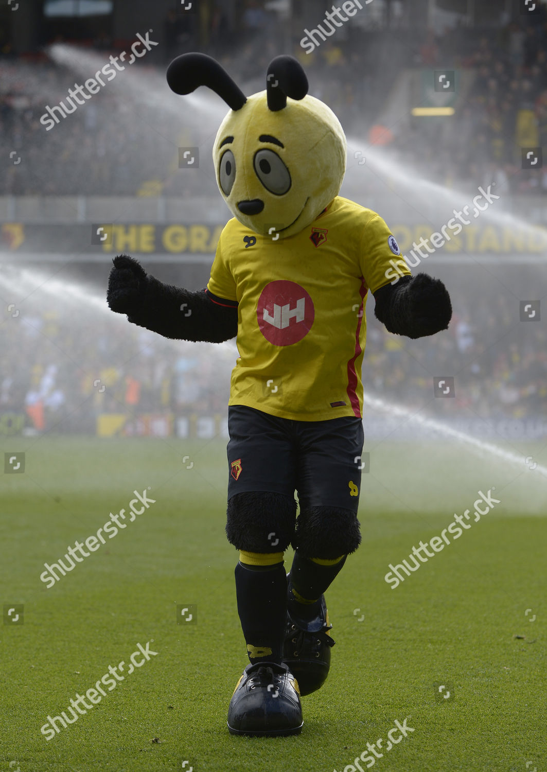 Harry Hornet Before Kick Off During Editorial Stock Photo - Stock Image ...