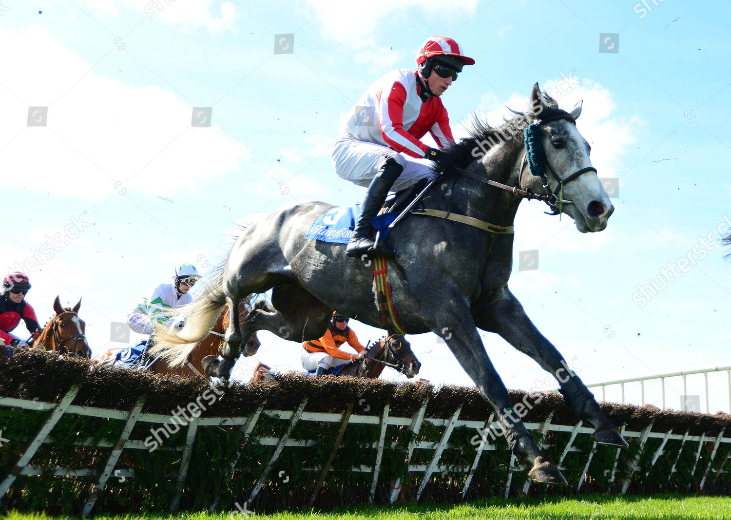 Fairyhouse Eden Mikey Fogarty Leads Look Editorial Stock Photo - Stock ...