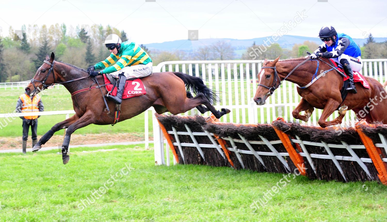 Cork Dont Kick Nor Bite Mark Editorial Stock Photo - Stock Image ...