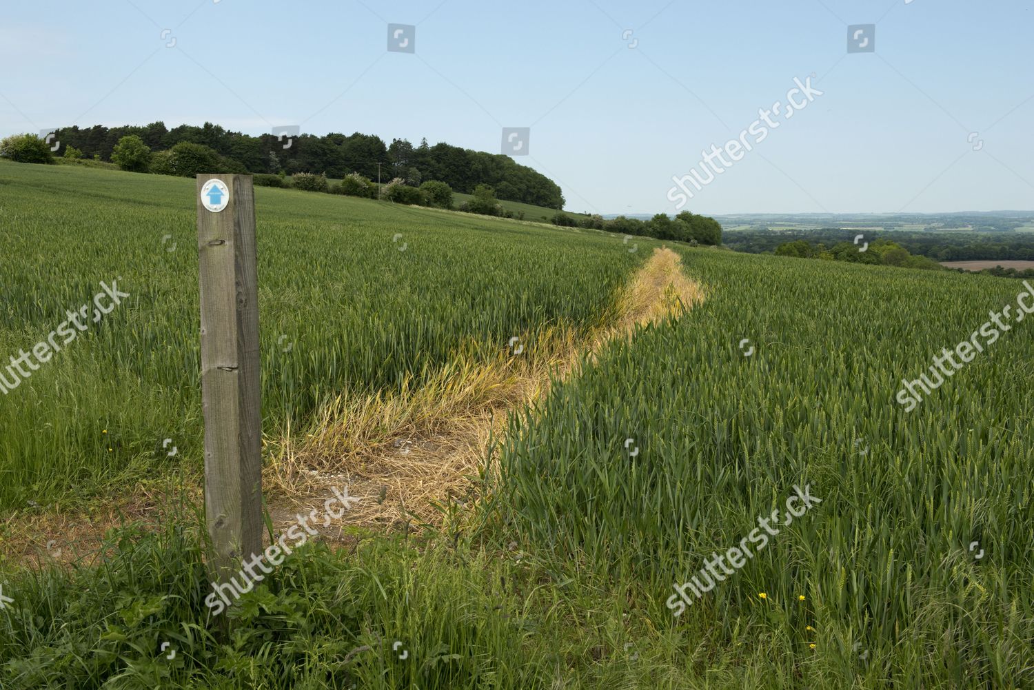 Footpath Sign Path Cut Through Stages Editorial Stock Photo - Stock ...
