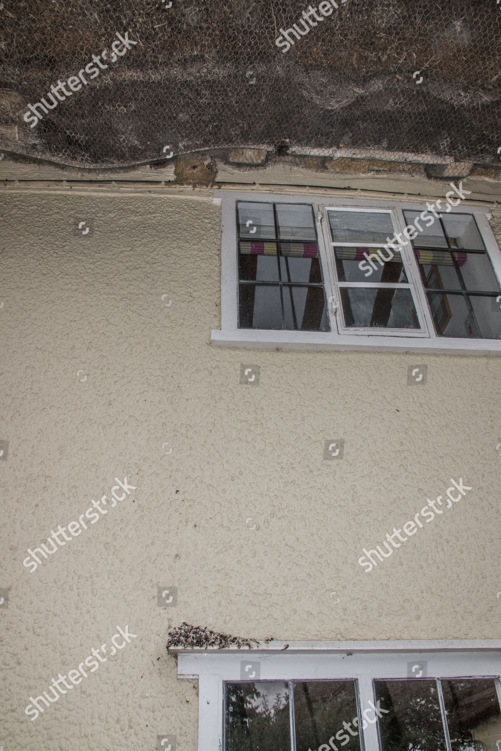Accumulation Droppings On Window Sill Below Editorial Stock Photo ...