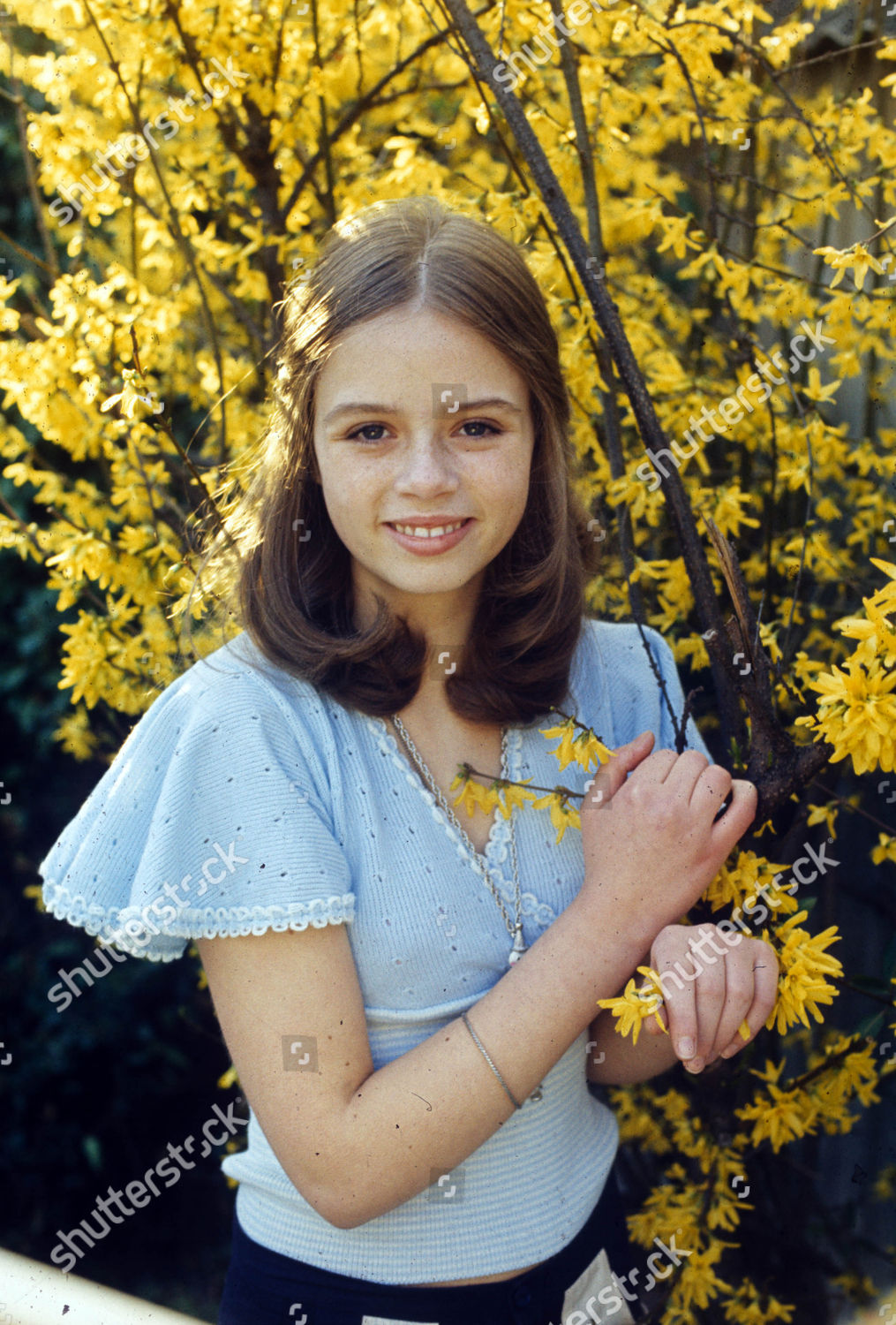 Stacy Dorning Editorial Stock Photo - Stock Image | Shutterstock