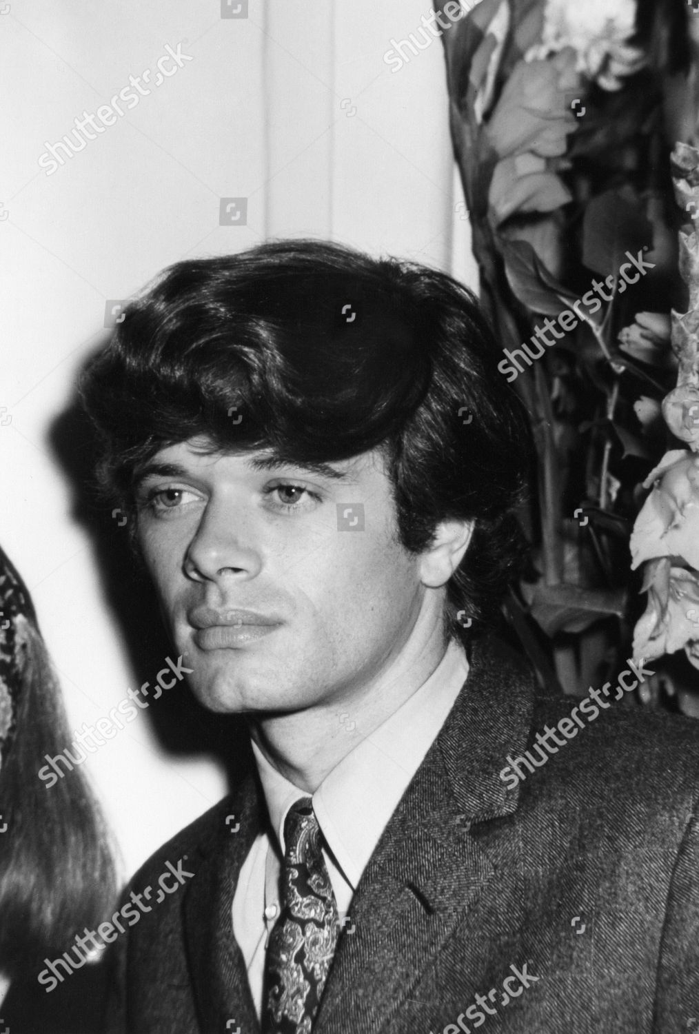 Michael Sarrazin 19402011 Canadian Actor Photograph Editorial Stock ...