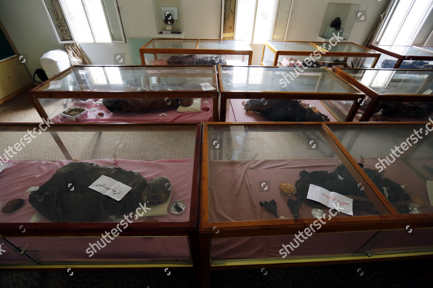 Embalmed Mummies Human Remains Displayed Museum Editorial Stock Photo ...