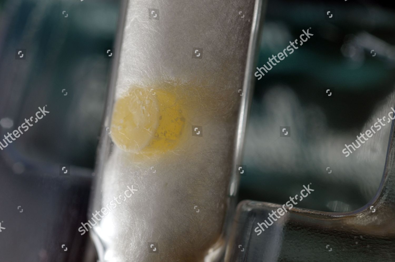 Estradiol Hrt Implant 50 Mg Pellet Editorial Stock Photo - Stock Image ...