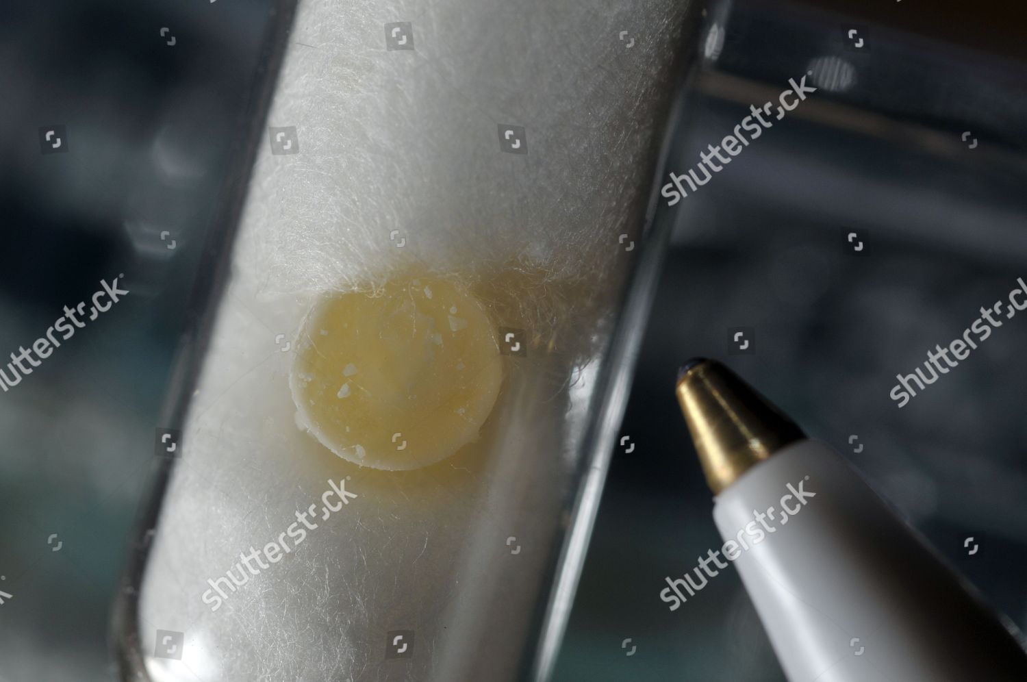 Estradiol Hrt Implant 50 Mg Pellet Editorial Stock Photo - Stock Image ...