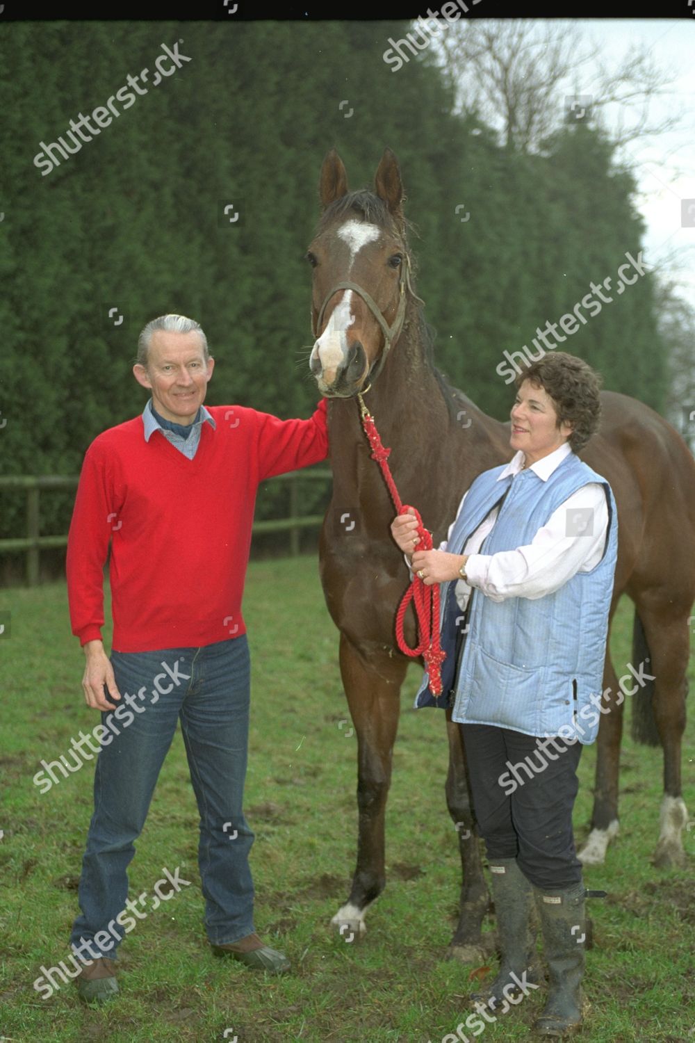 Former Bbc Horse Racing Commentator Julian Editorial Stock Photo ...