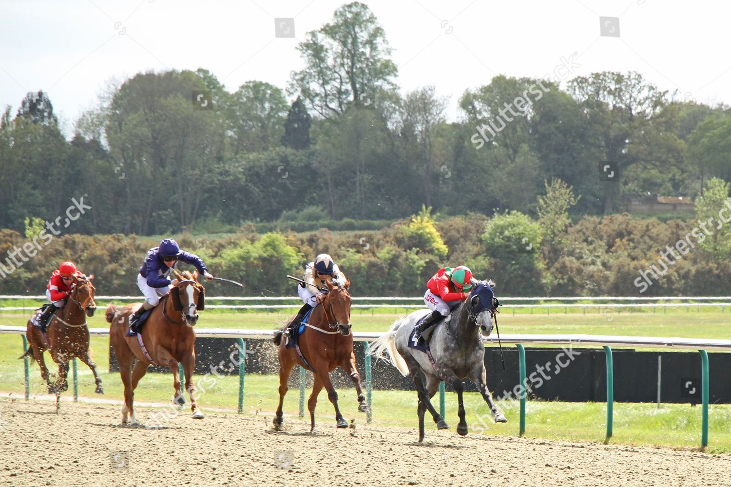 Chelwood Gate Ridden By Josephine Gordon Editorial Stock Photo - Stock Image | Shutterstock