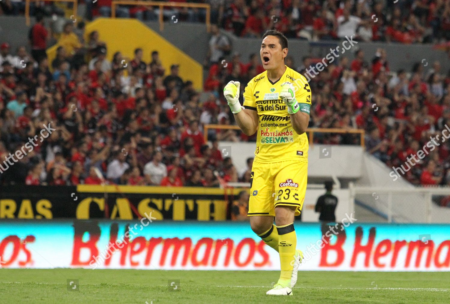 Moises Munoz Editorial Stock Photo - Stock Image | Shutterstock