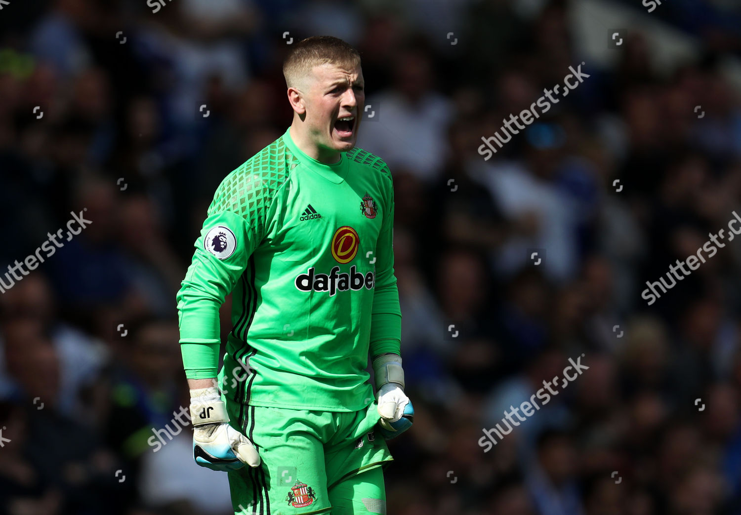 Goalkeeper Jordan Pickford Sunderland During Premier Editorial Stock ...