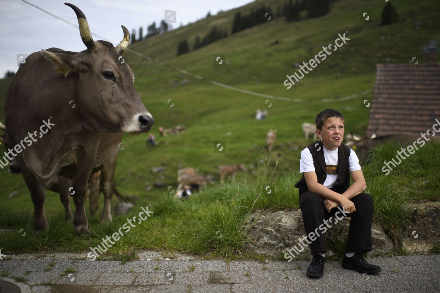 Boy Alpine Farmer Family Looks On Editorial Stock Photo - Stock Image ...