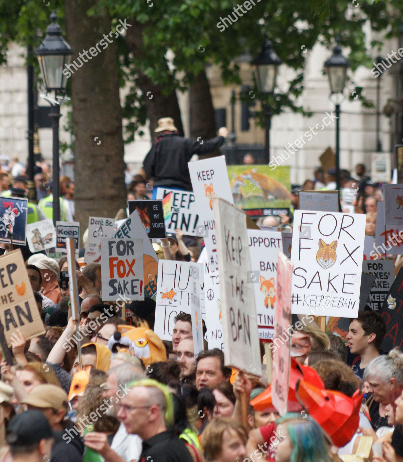 Members Hunt Saboteurs Association Other Antihunting Editorial Stock ...