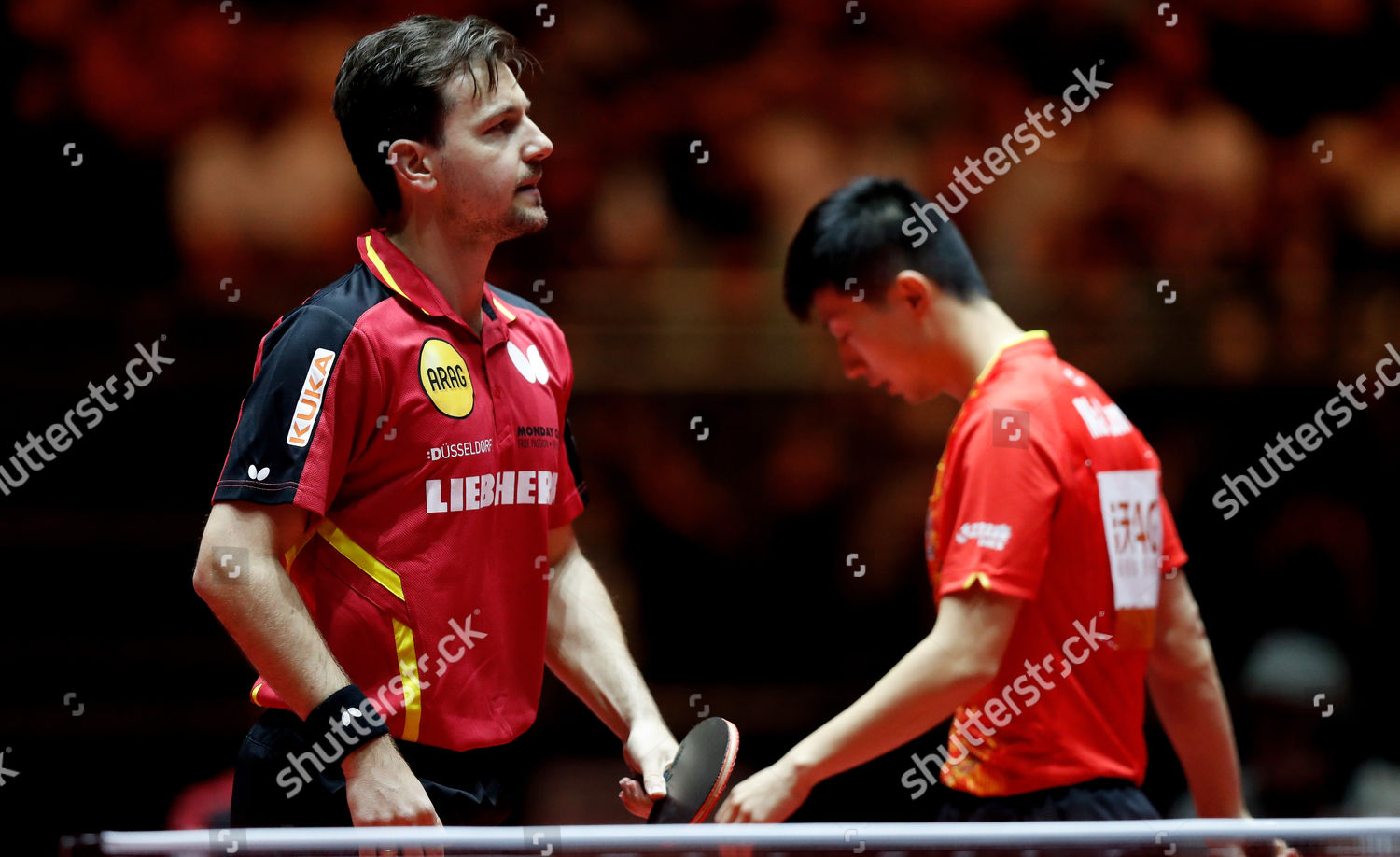 Timo Boll Germany L Ma Long Editorial Stock Photo - Stock Image ...