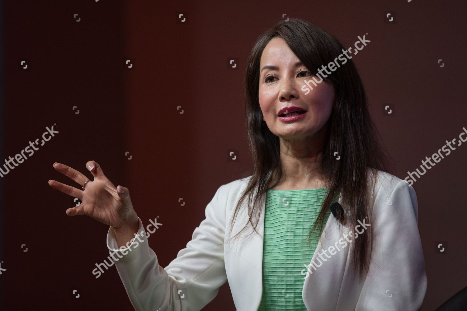 Jane Jie Sun Editorial Stock Photo - Stock Image | Shutterstock