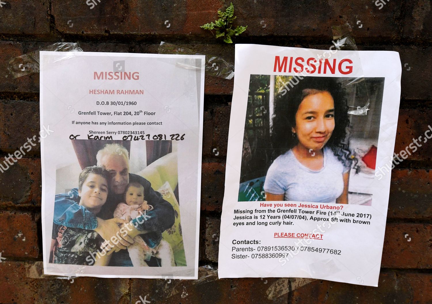 Missing People Posters Editorial Stock Photo - Stock Image | Shutterstock