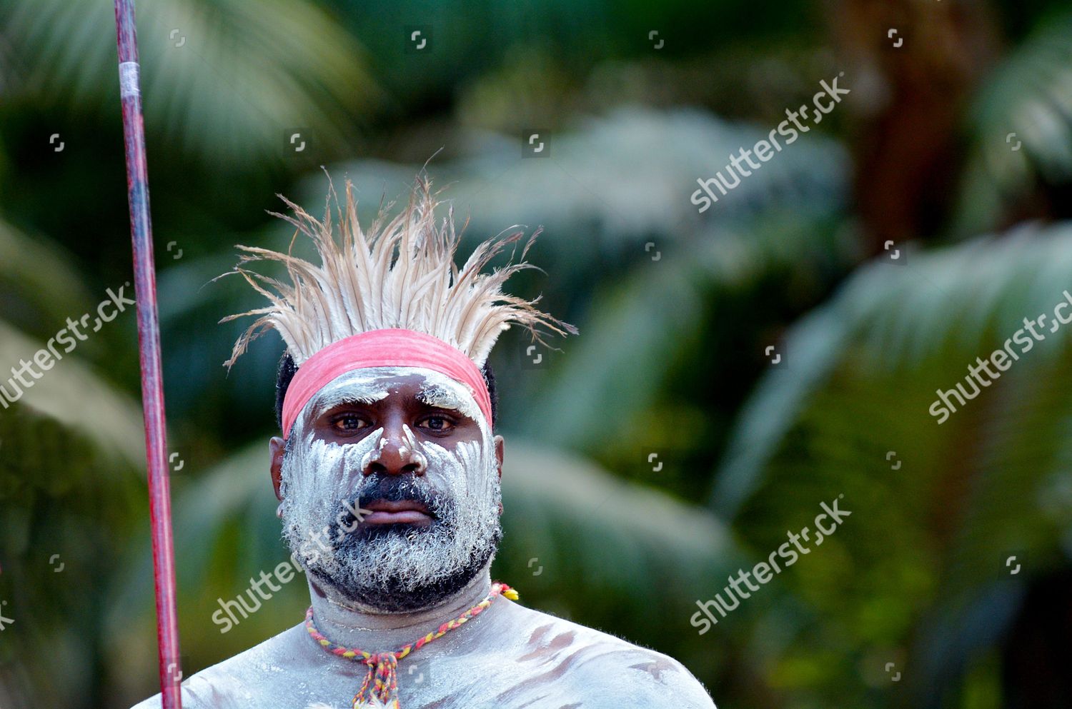 Yugambeh Aboriginal Warrior During Aboriginal Culture Editorial Stock ...