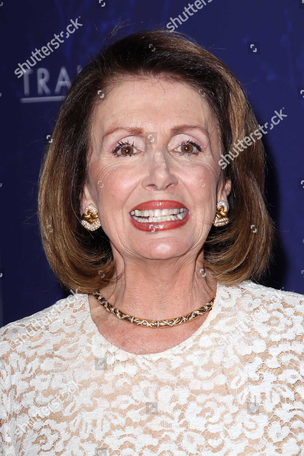 Nancy Pelosi Editorial Stock Photo - Stock Image | Shutterstock