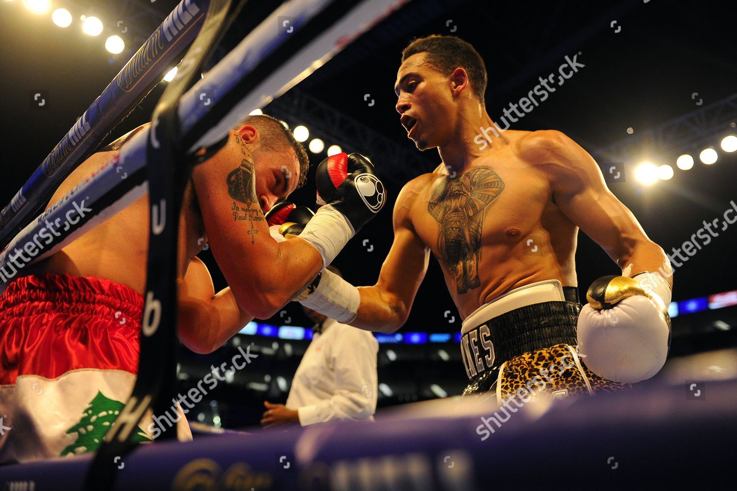 Morgan Jones Defeats Jade Karam During Editorial Stock Photo - Stock ...