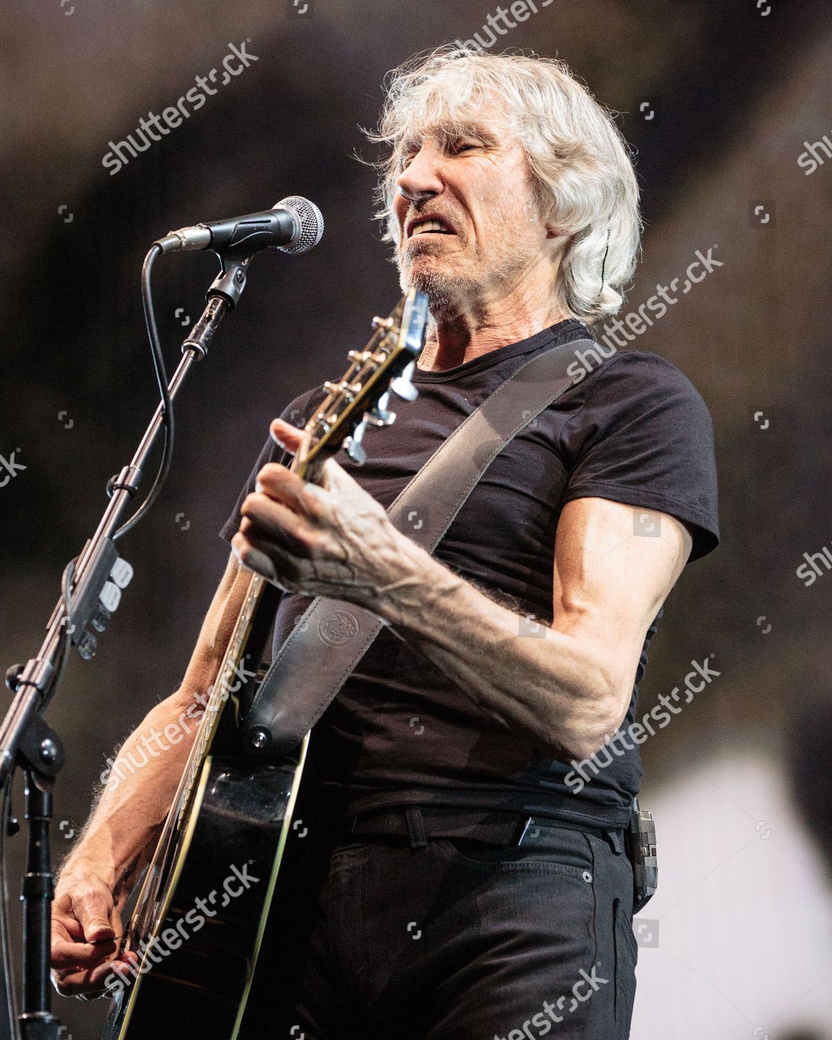 Roger Waters Editorial Stock Photo - Stock Image | Shutterstock