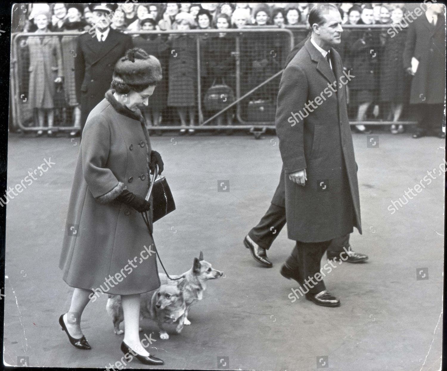 Queen Elizabeth Ii Pets Picture Shows Editorial Stock Photo - Stock ...