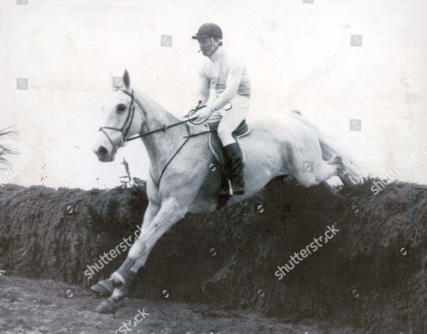 Captain Mark Phillips Horse Ridingracing Picture Editorial Stock Photo ...