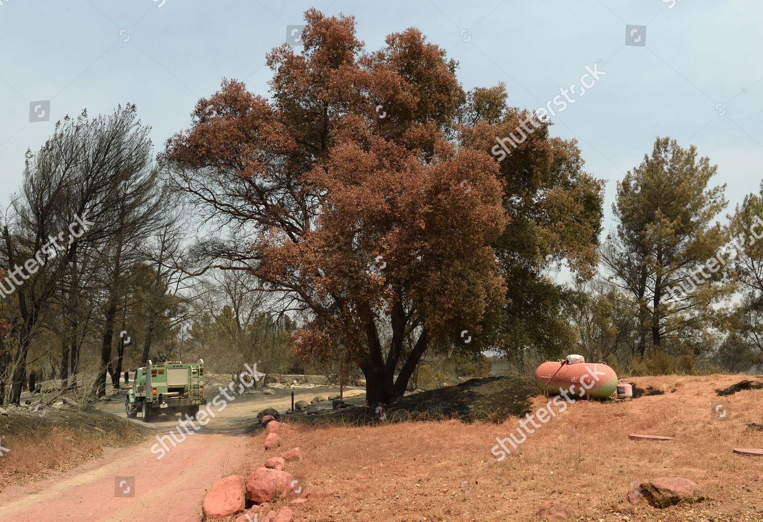 Landscape Dotted Pink Fire Retardant Dropped Editorial Stock Photo ...