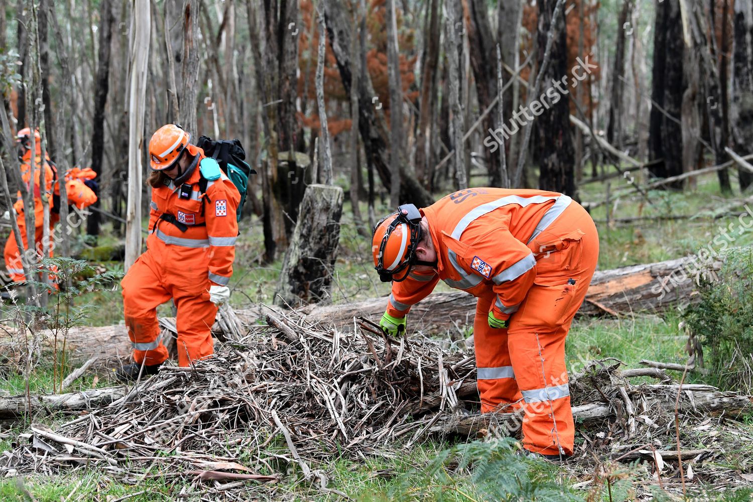 Australias State Emergency Service Ses Volunteers Editorial Stock Photo ...