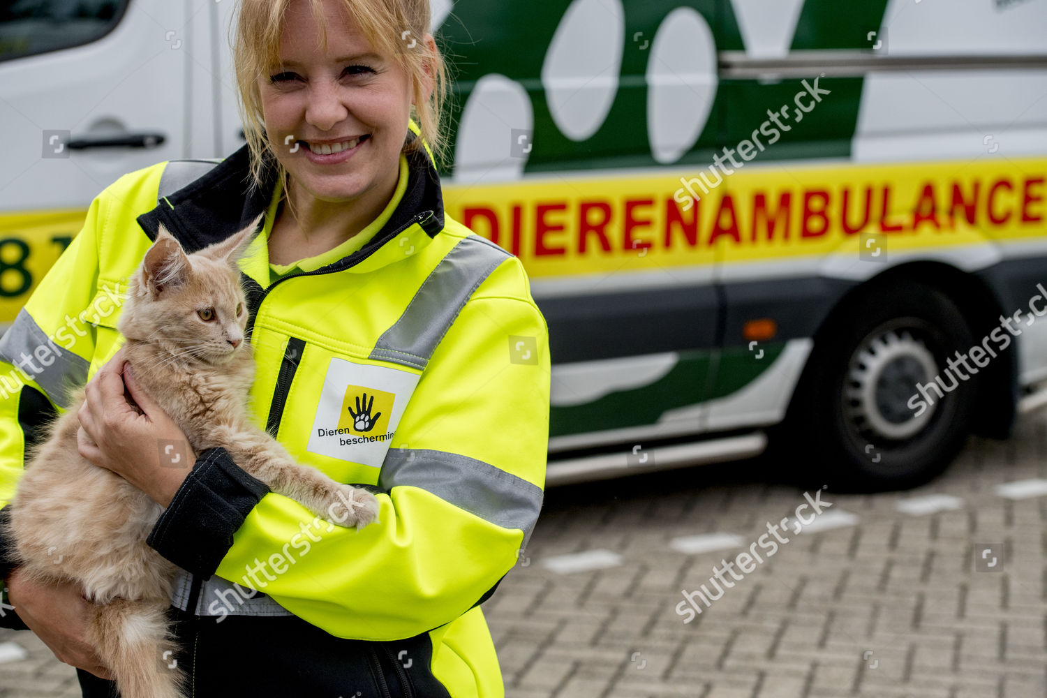 Animal Helpers Dierenbescherming On Patrol Their Editorial Stock Photo ...