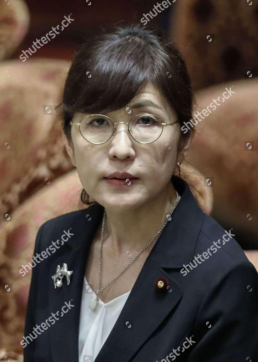 Japanese Defense Minister Tomomi Inada Attending Editorial Stock Photo ...