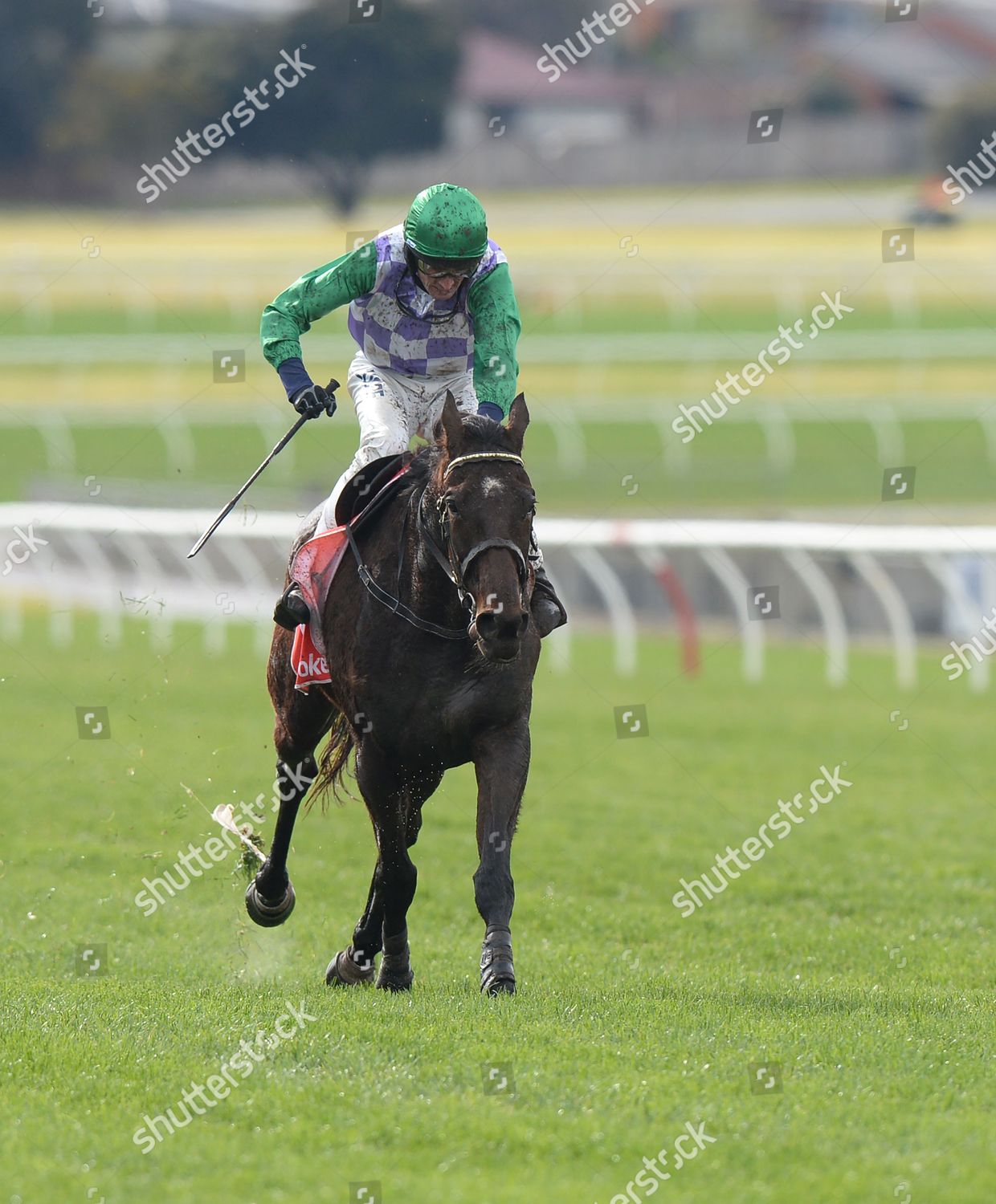 Jockey Richard Cully Riding Wells Win Editorial Stock Photo - Stock ...