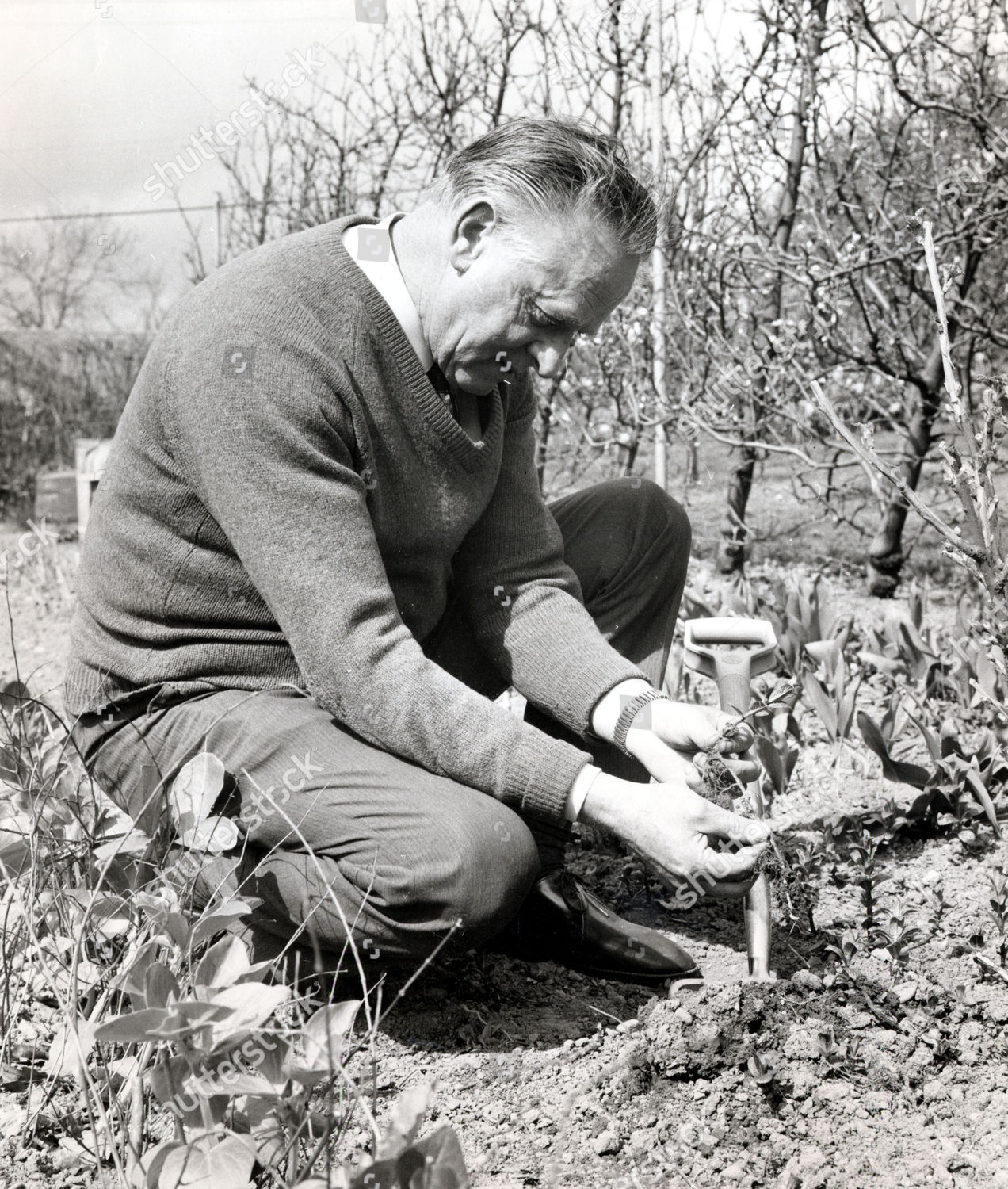 Percy Thrower Gardening Expert Gardening Editorial Stock Photo - Stock ...