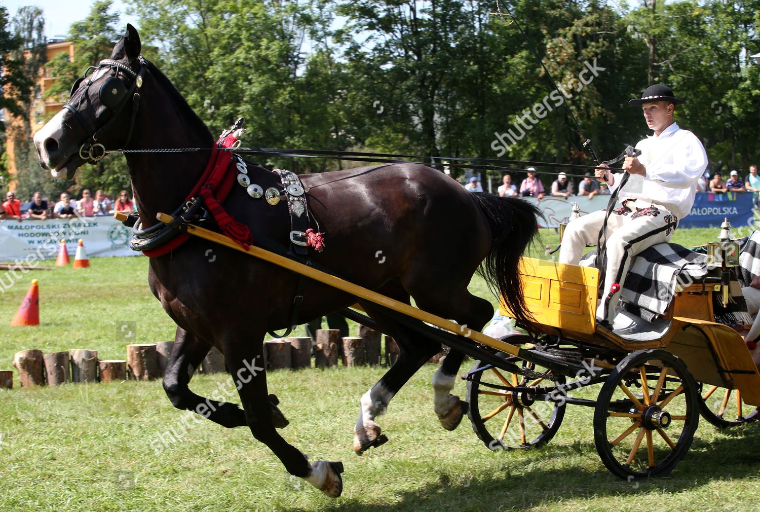 Polish Gorals Highlanders Compete Horsedrawn Carriage Editorial Stock ...