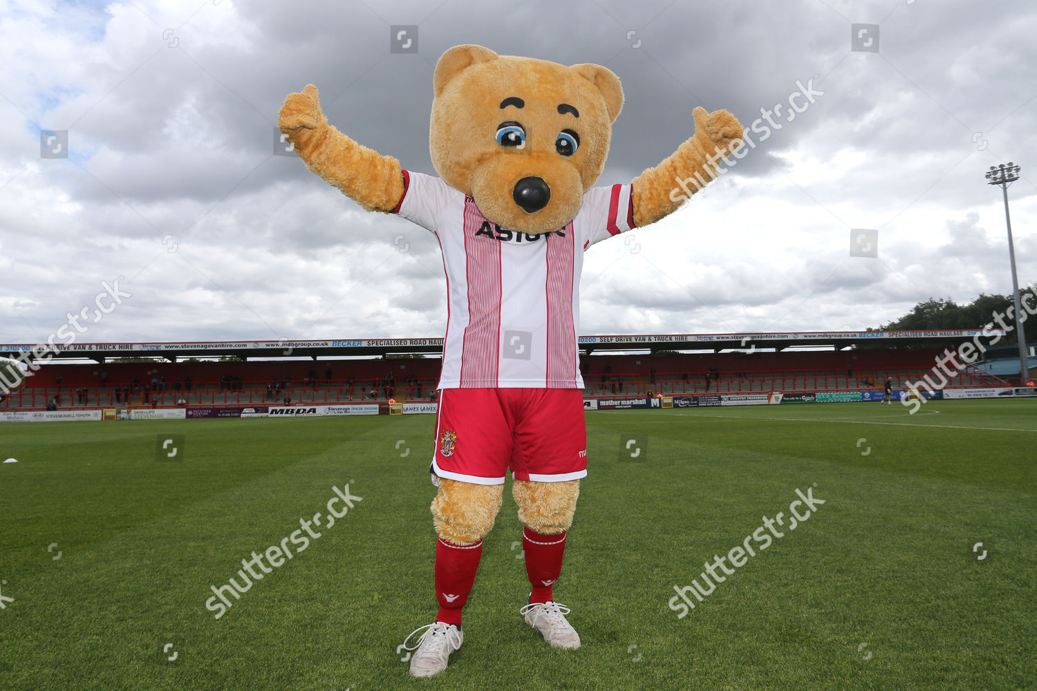 Boro Bear Poses Photograph Stevenage Fans Editorial Stock Photo - Stock ...
