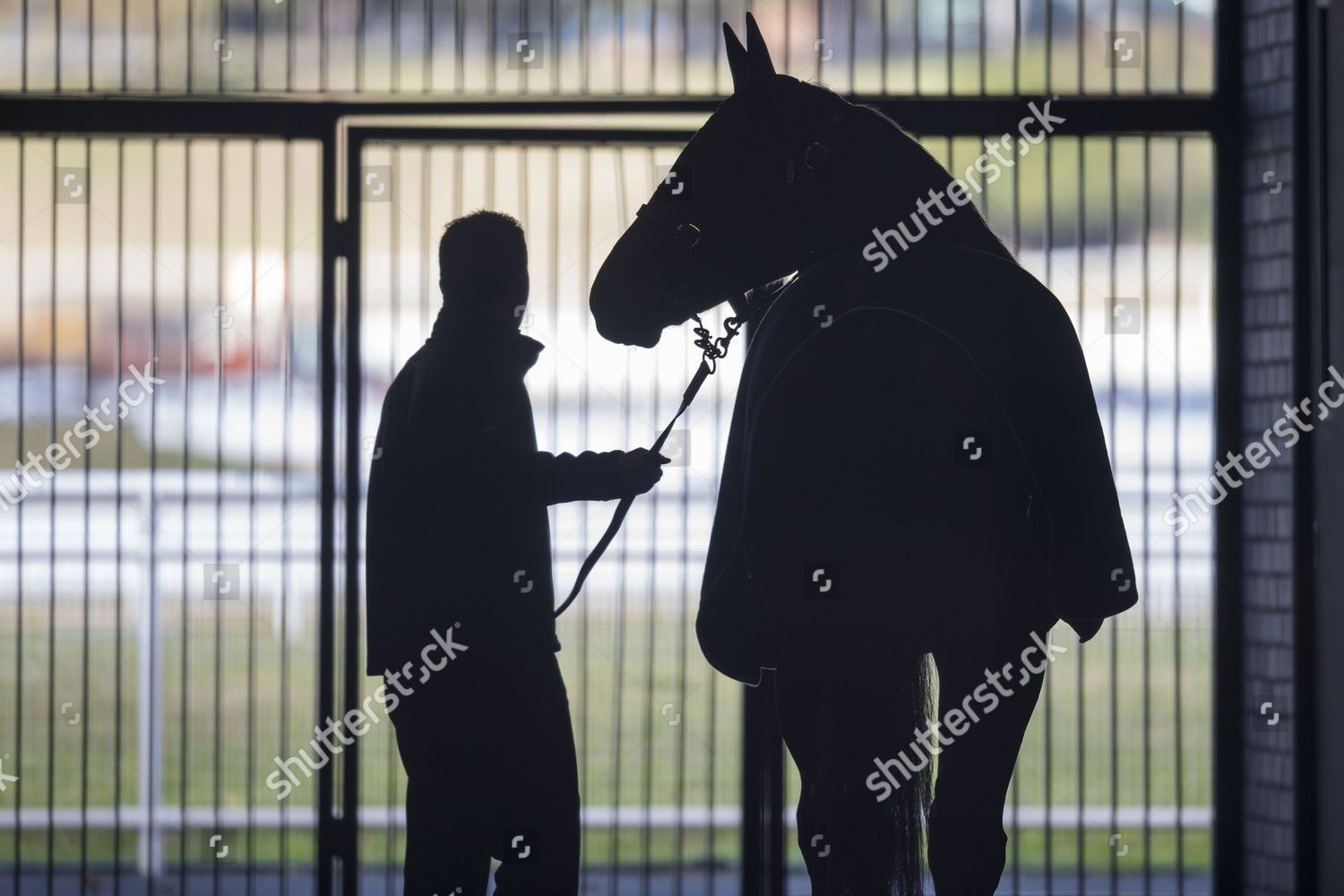 Winx Strapper Umut Odemislioglu Saddling Stalls Editorial Stock Photo ...