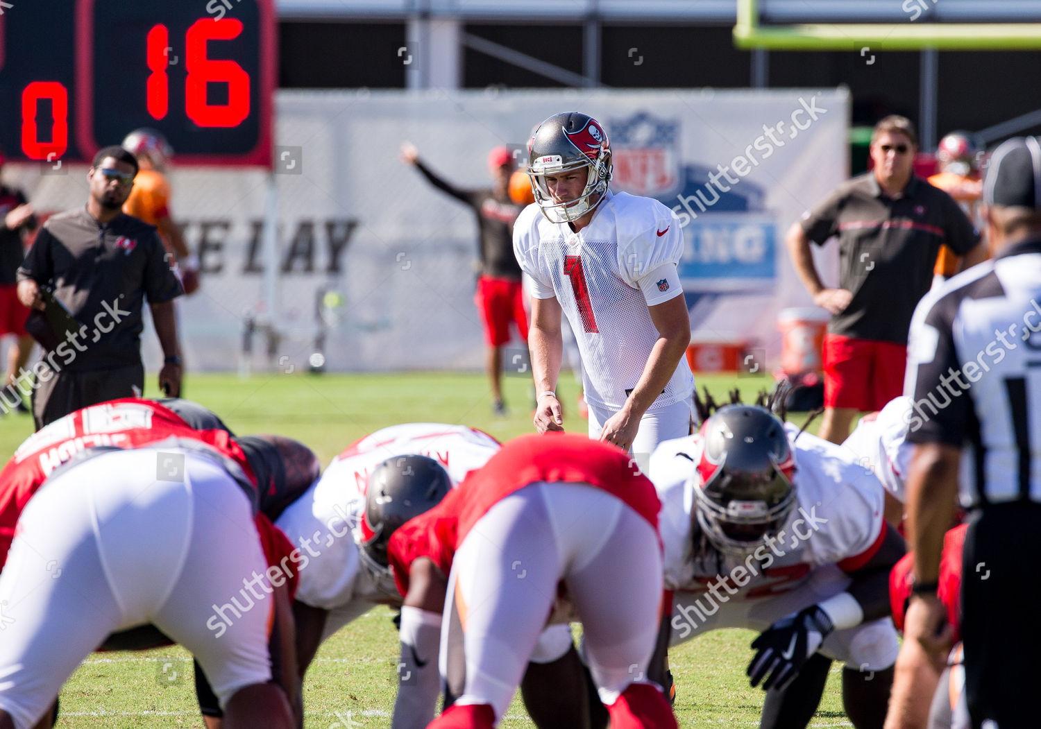 Tampa Bay Buccaneers Kicker Zach Hocker Editorial Stock Photo - Stock ...