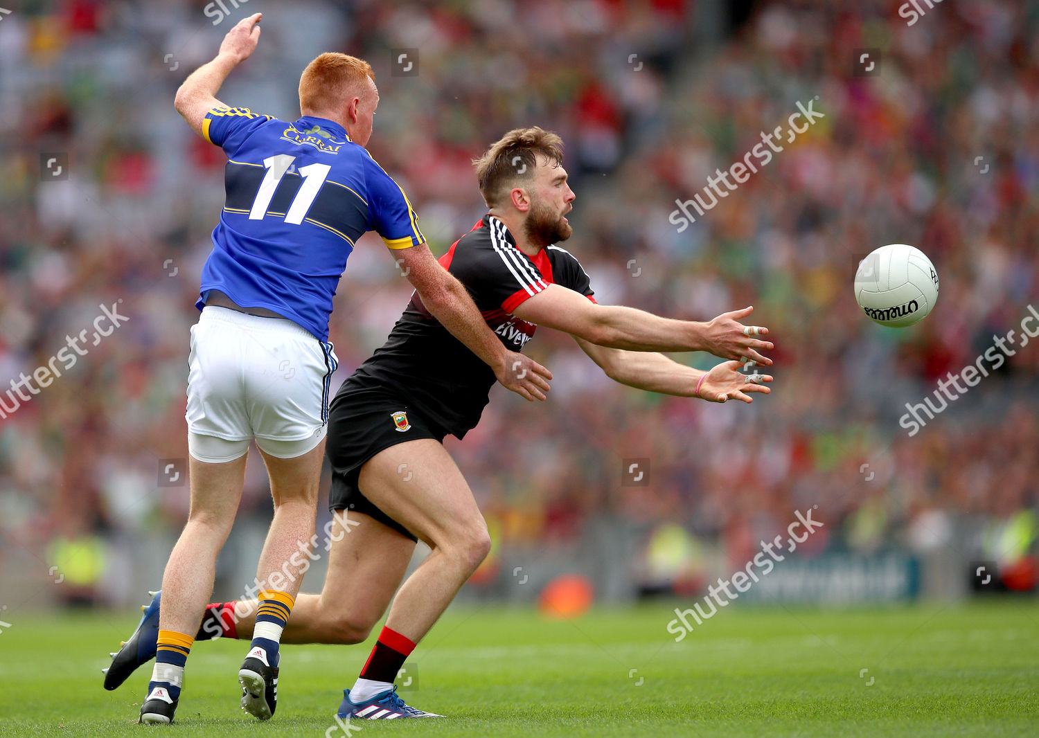Mayo Vs Kerry Kerrys Johnny Buckley Editorial Stock Photo - Stock Image ...