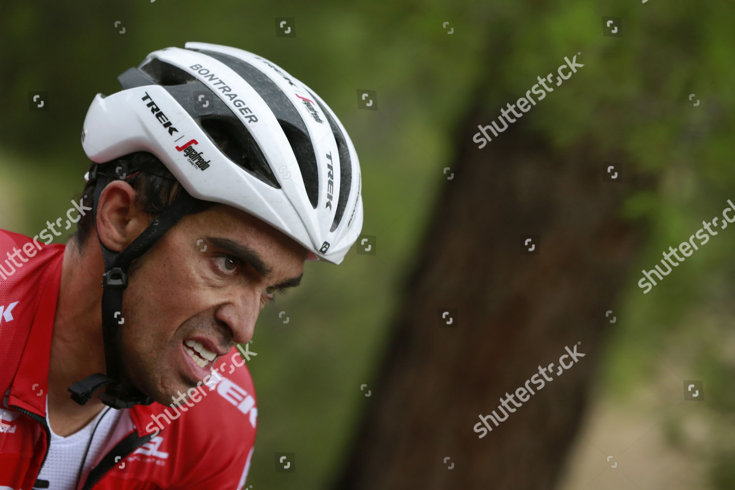 Spanish Cyclist Albert Contador Trek Segafredo Editorial Stock Photo ...