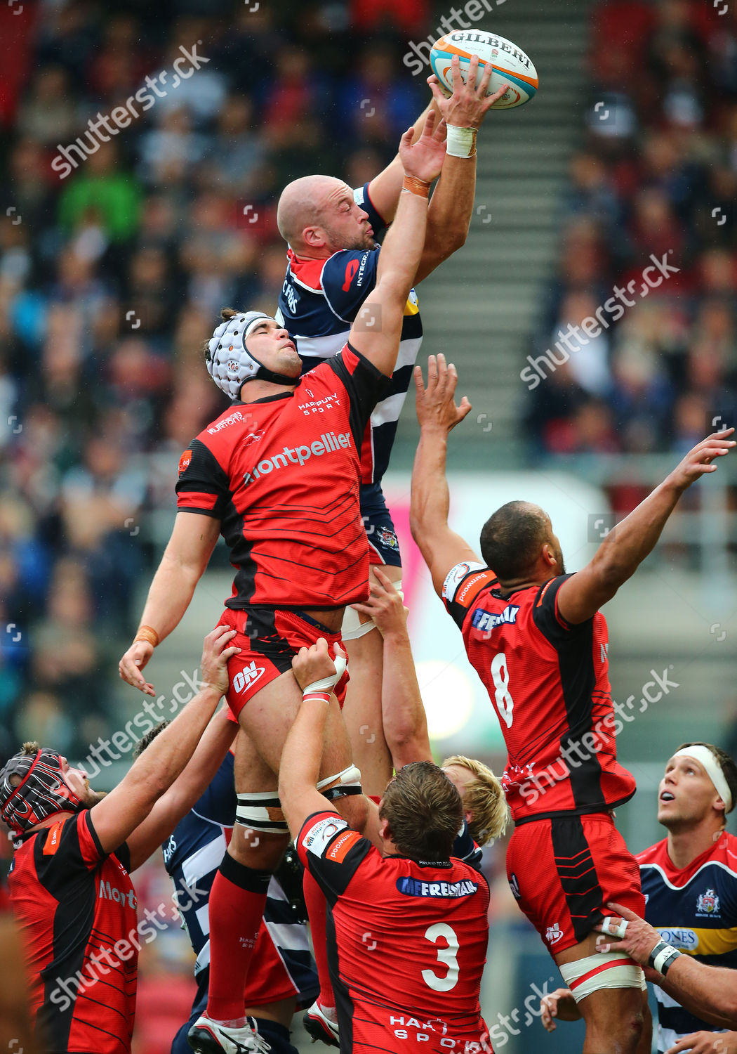 Bj Edwards Hartpury Challenges High Ball Editorial Stock Photo - Stock ...