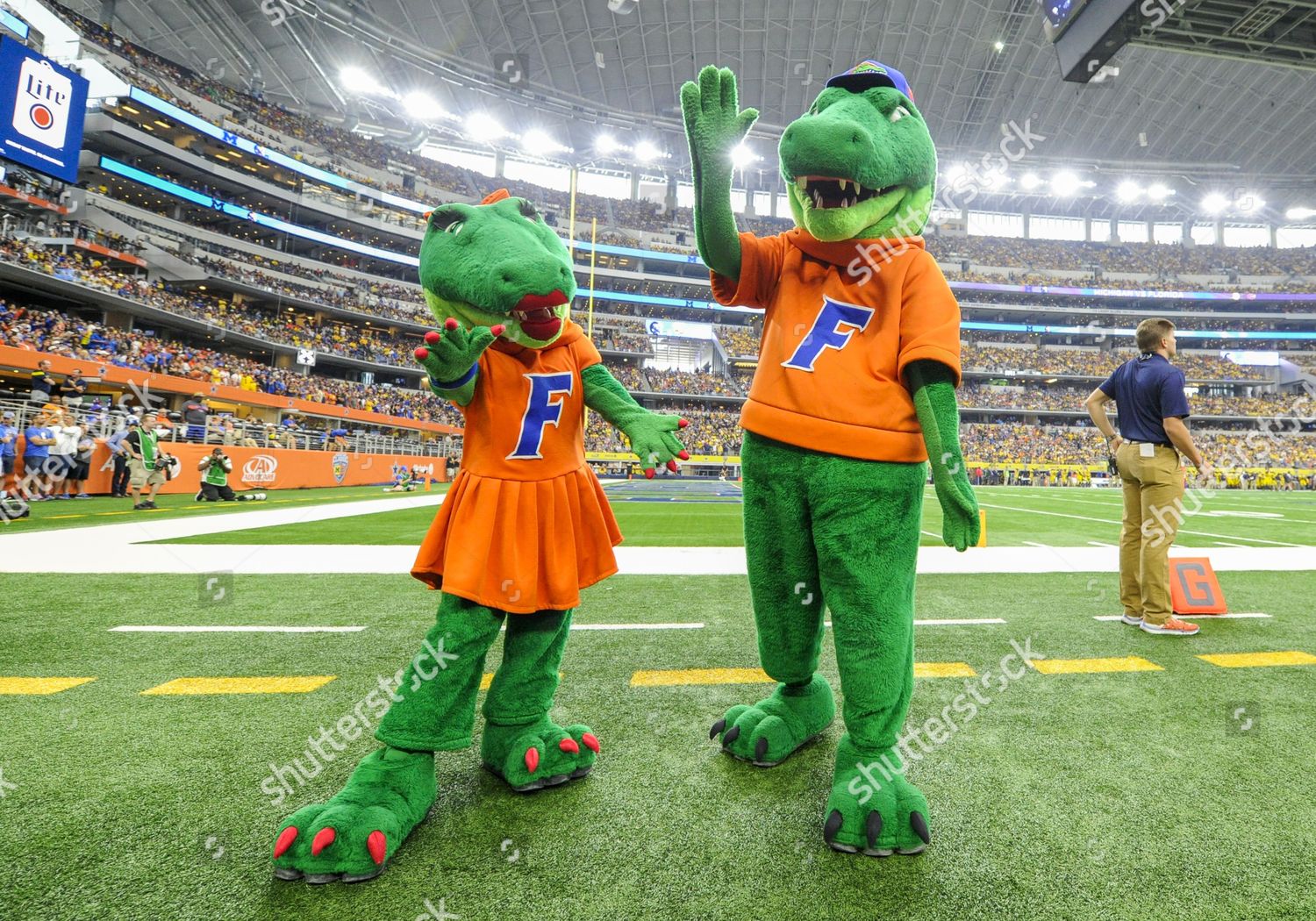 Florida Gators Mascots Alberta Left Albert Editorial Stock Photo ...