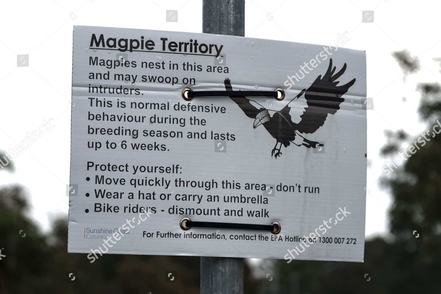 Warning Sign On Magpie Territory Residential Editorial Stock Photo ...