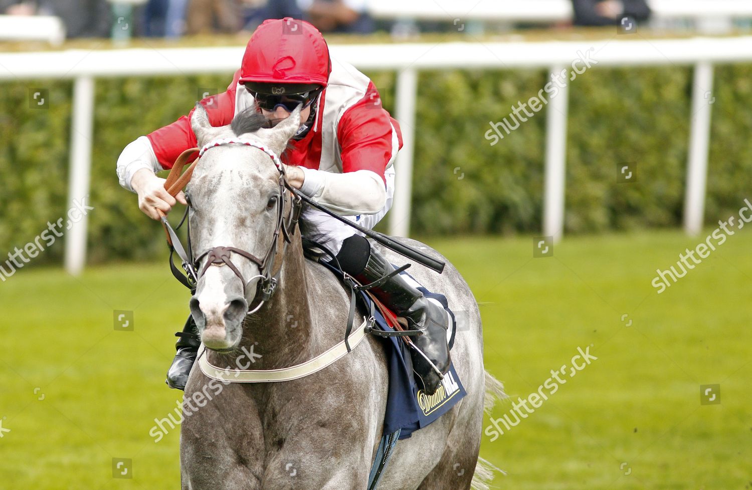 Spring Loaded Joey Haynes Wins William Editorial Stock Photo - Stock ...
