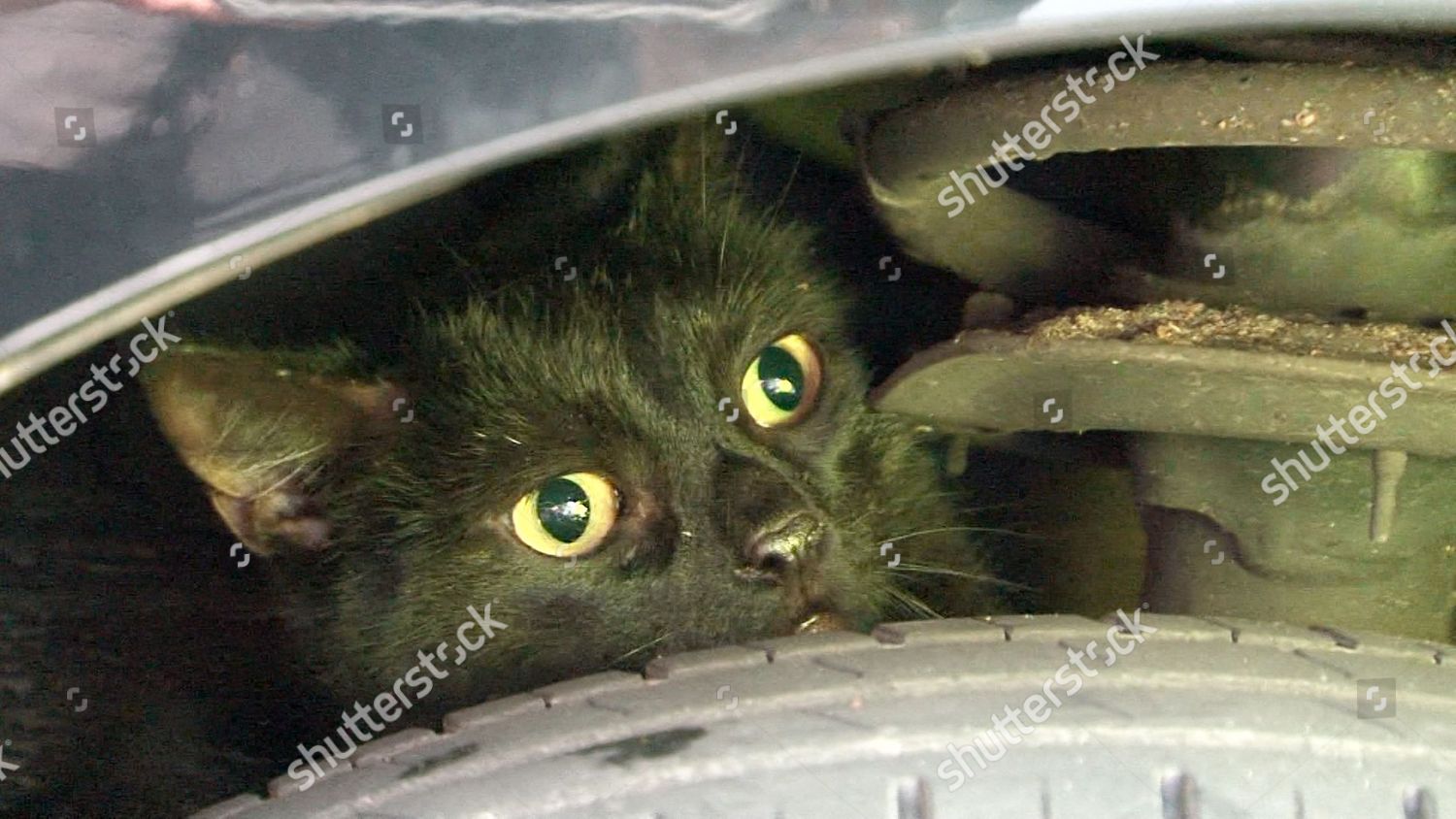 Firefighters Rescue Tomcat Engine Bay Car Editorial Stock Photo - Stock ...