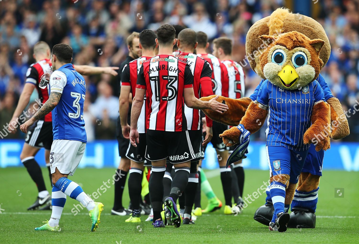 Sheffield Wednesday Mascots Barney Owl Ozzie Editorial Stock Photo ...